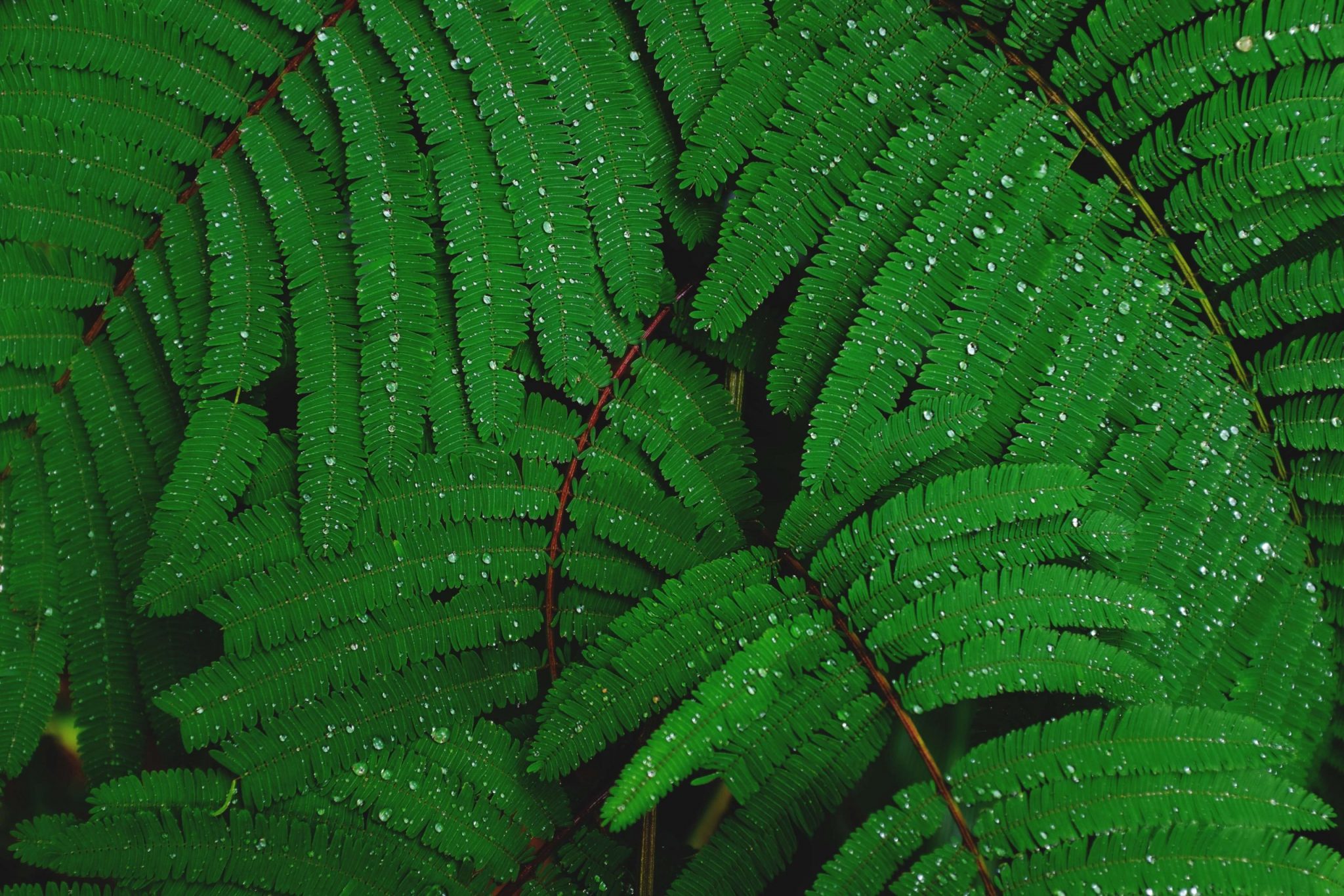 Mutuelle Socialiste Solidaris : Tout savoir en 2025